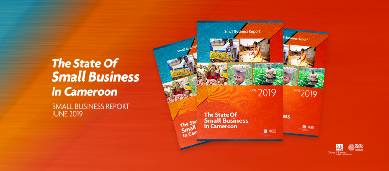 State of Small Businesses in Cameroon Report 2019 - Nkafu Policy Institute