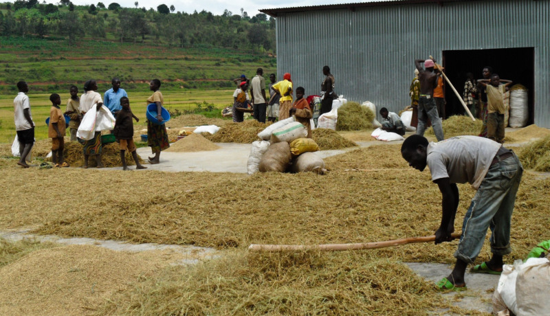 The Russia-Ukraine Conflict and Food Security in CEMAC Countries ...