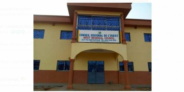 The Regional Administrative Structure in Cameroon - Nkafu Policy Institute