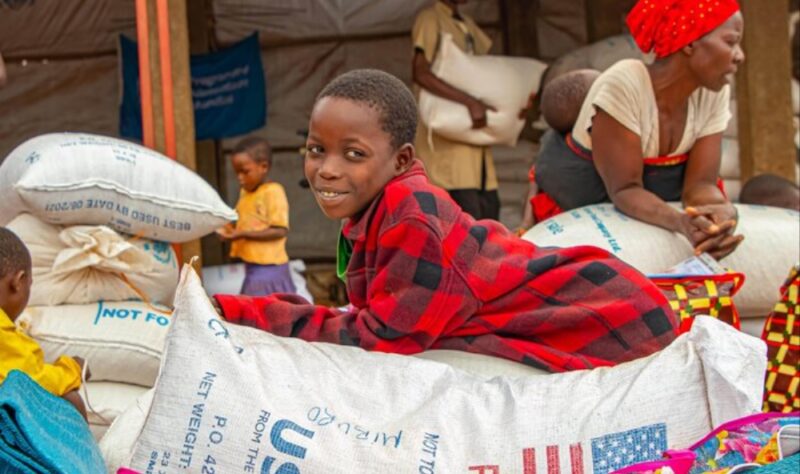 Economic Impacts of a New Global Financing Aid on Sub-Saharan African ...